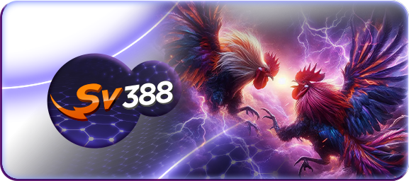 Gà SV388 | Đá gà trực tuyến đẳng cấp số 1️⃣